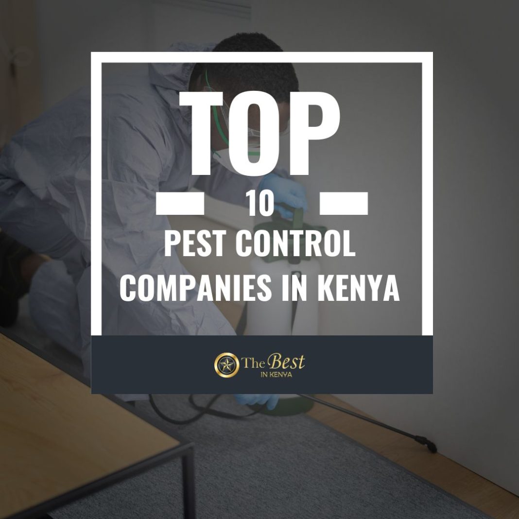 Top 10 Pest Control Companies in Kenya - The Best in Kenya
